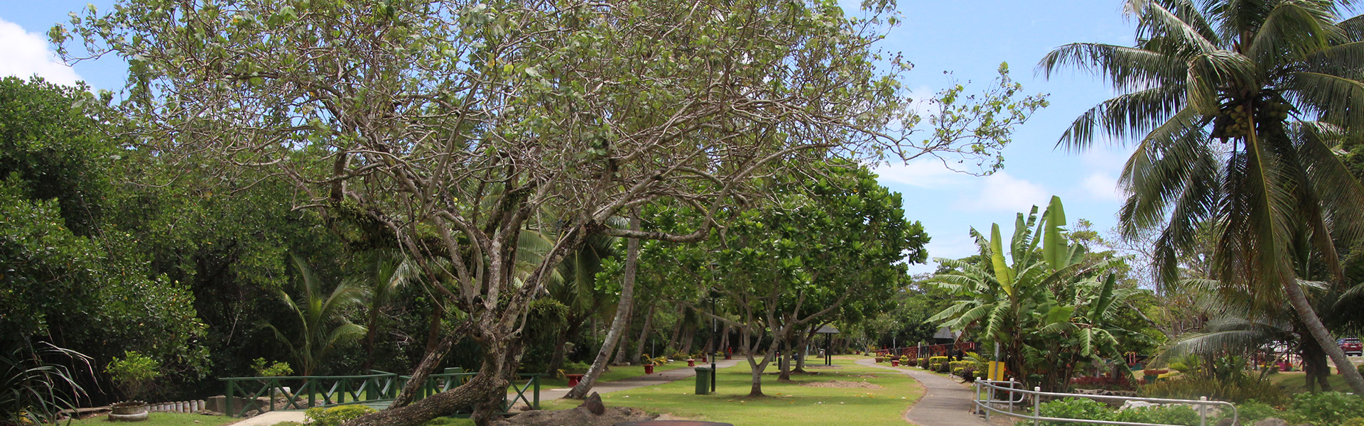 Suva City Carnegie Library - Suva City Council